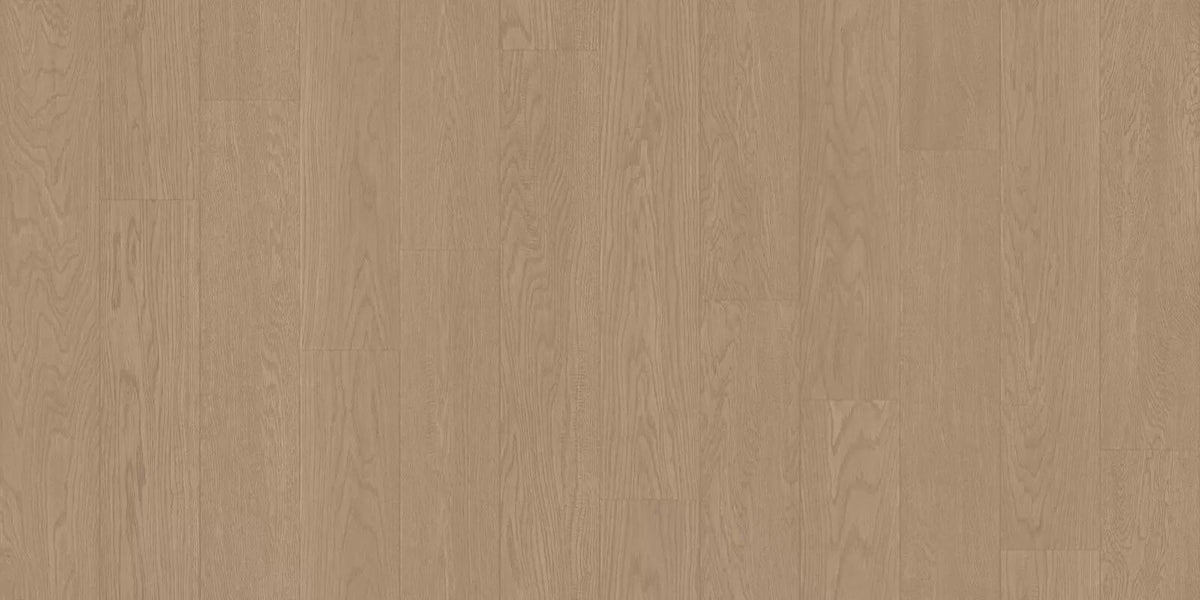 Performa - KNB Mills