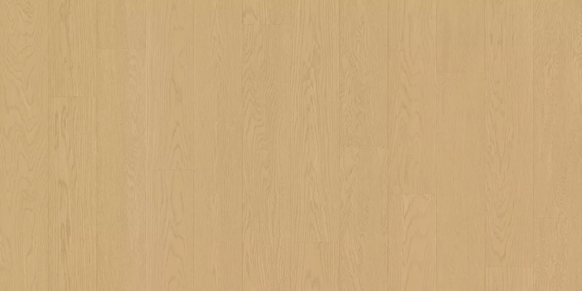 Performa - KNB Mills