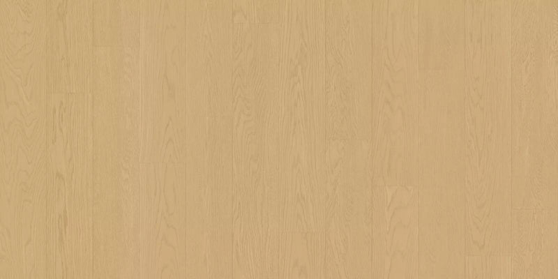 Performa - KNB Mills