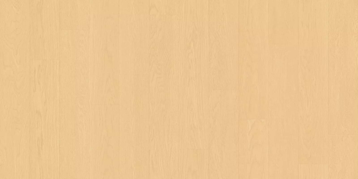 Performa - KNB Mills